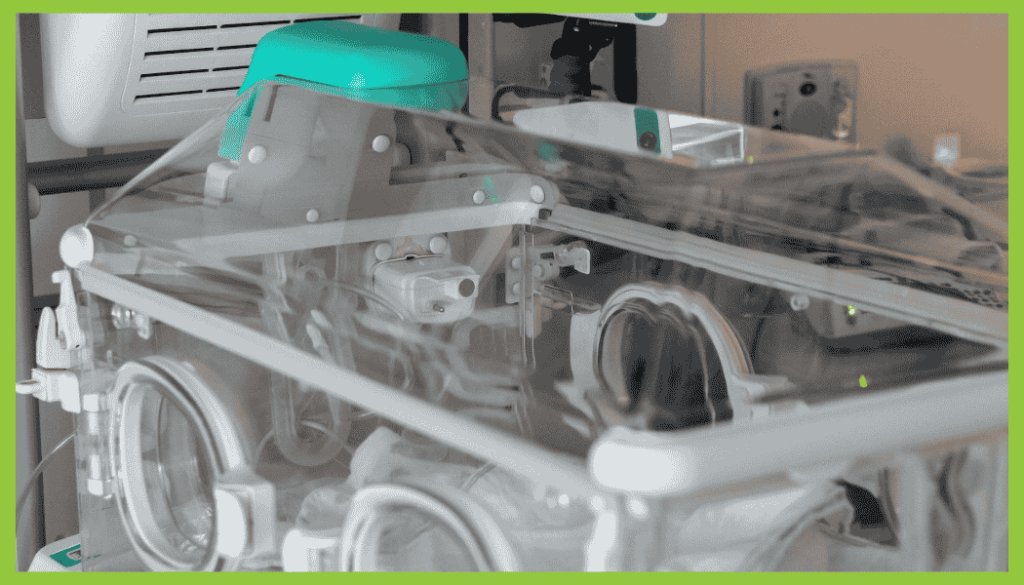 Understanding the New Right to Neonatal Leave and Pay